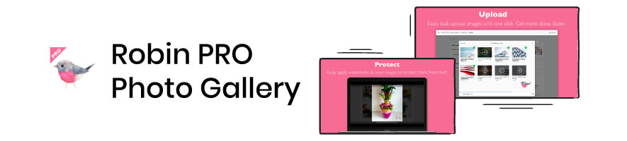 6 Best Shopify Gallery Apps to Use in 2022 | TinyIMG