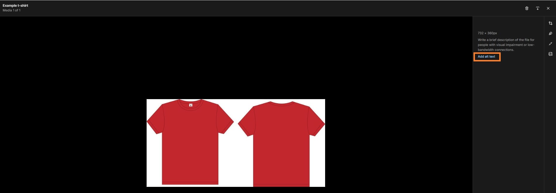 How to Fix Alt Text for Images With TinyIMG